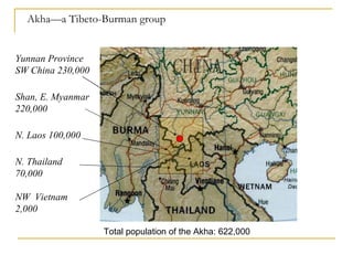 Jianhua Ayoe Wang Surviving Beyond Political Borders | PPT