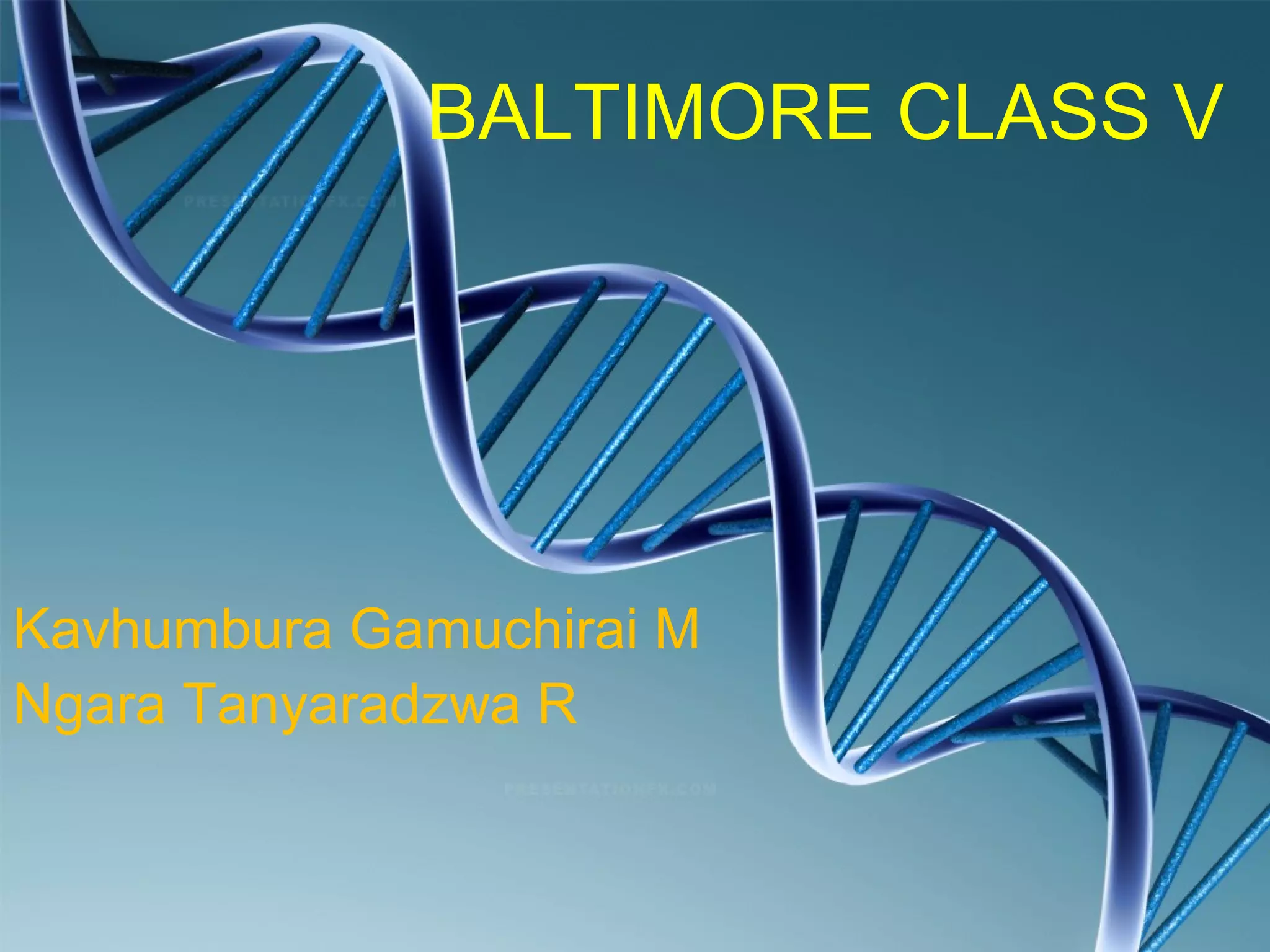 Group V (Baltimore) viral classification | PPT
