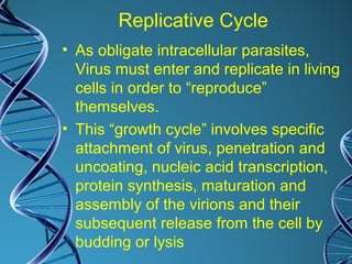 Group V (Baltimore) viral classification | PPT