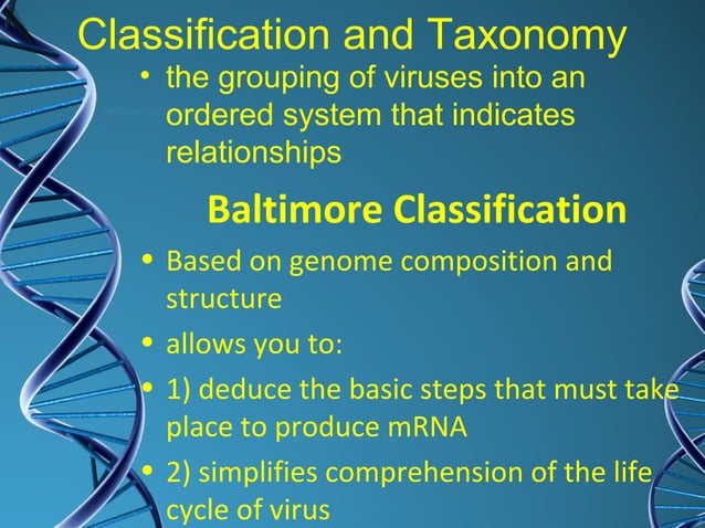 Group V (Baltimore) viral classification | PPT