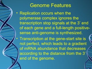 Group V (Baltimore) viral classification | PPT