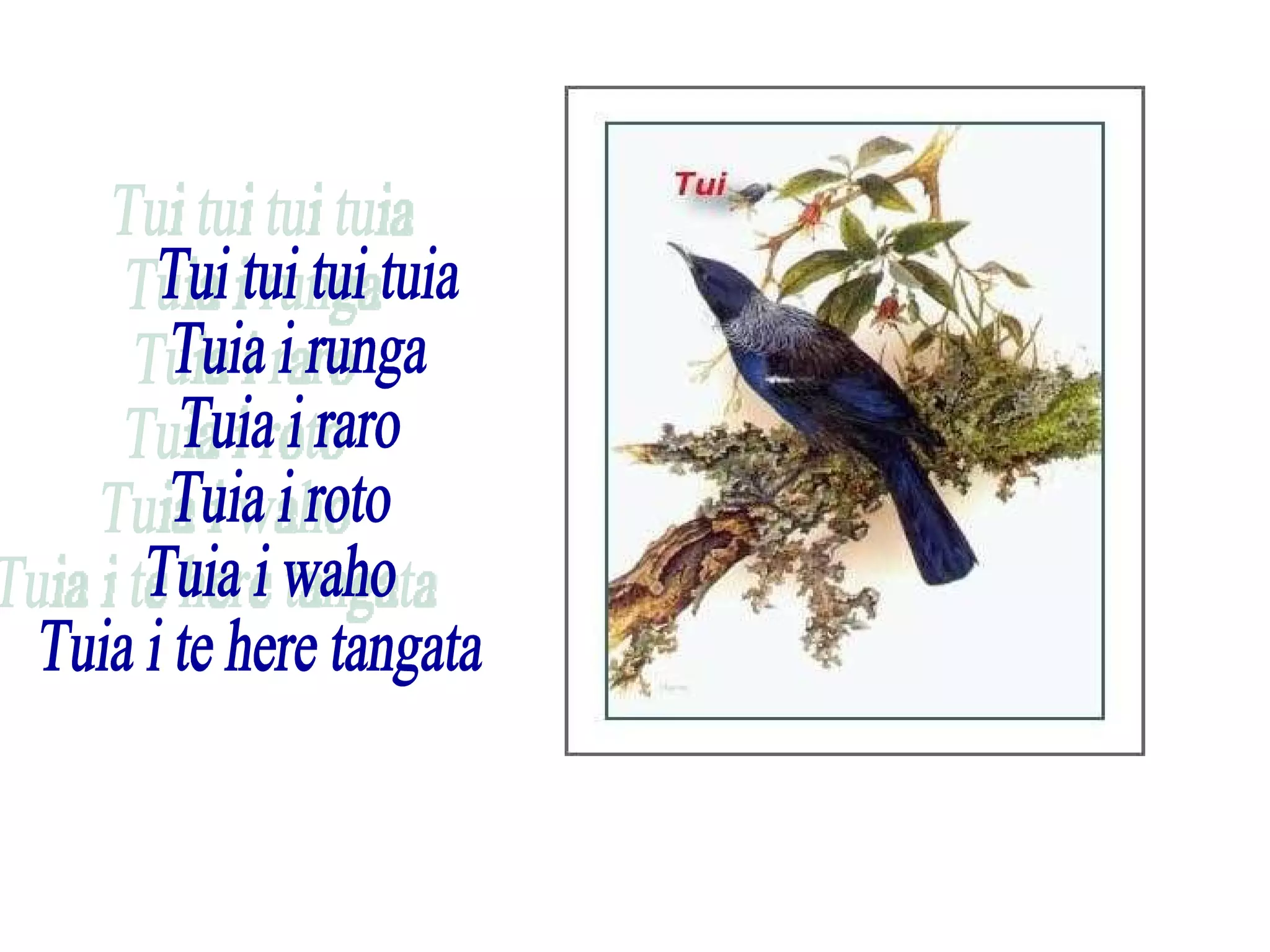 Te Kaupapa o Hono | PPT