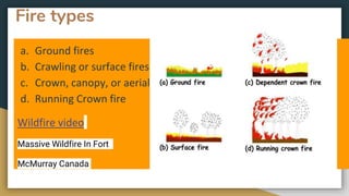wild fire | PPT