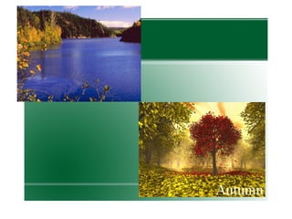 Jiliin dorvon uliral | PDF