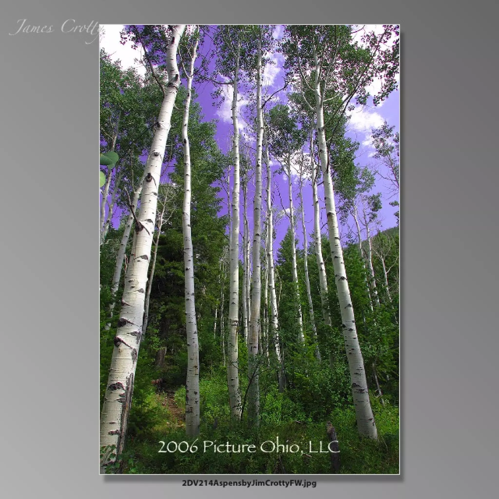 Jim Crotty Photography Of Summer 2006 | PDF