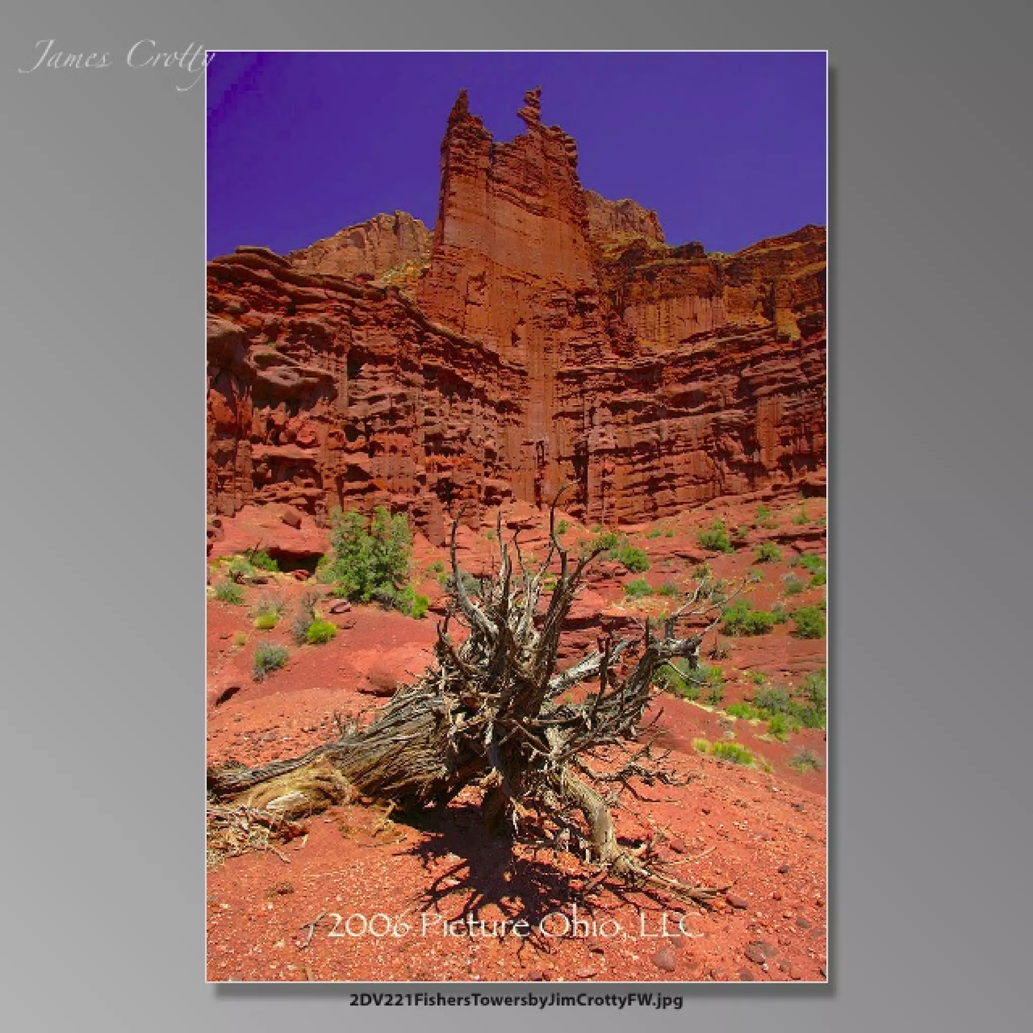 Jim Crotty Photography Of Summer 2006 | PDF