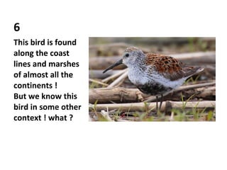 Jimbly jimble kuiss ! | PPT