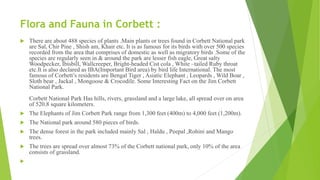 Jim Corbett National Park, Corbett National Park Info | PPTX