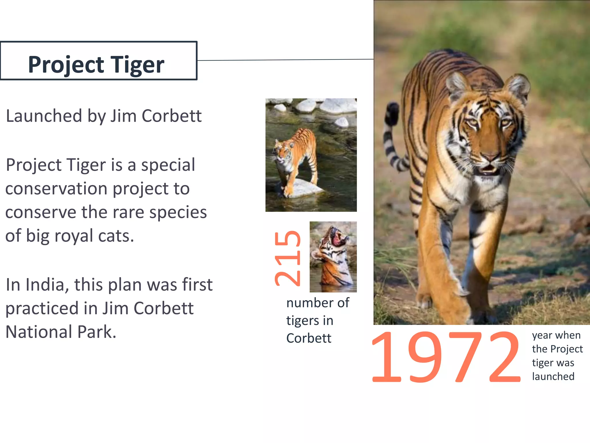 Jim corbett national park, india | PPTX