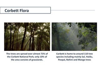 Jim corbett national park, india | PPTX