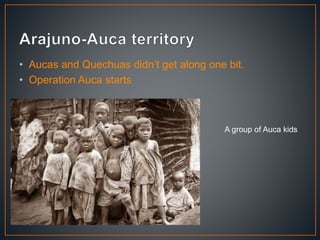 Operation Auca Bodies