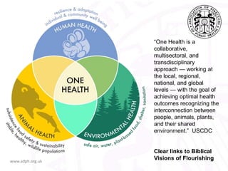 Public Health and the Church: Public Health perspecives | PPT