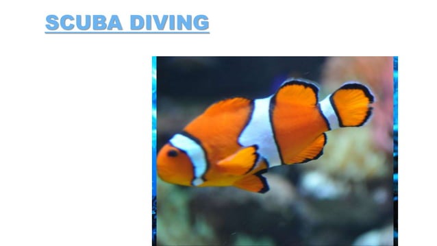 Jimmy corcoran | PPT