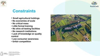 Jimmy Magro I The Olive Sector_Final.pptx