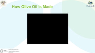 Jimmy Magro I The Olive Sector_Final.pptx