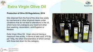 Jimmy Magro I The Olive Sector_Final.pptx