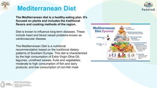 Jimmy Magro I The Olive Sector_Final.pptx