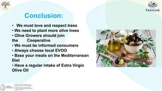 Jimmy Magro I The Olive Sector_Final.pptx