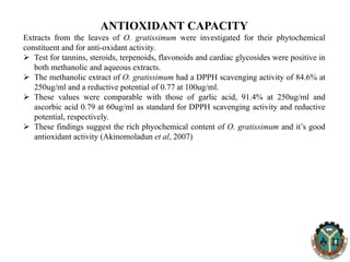 Nutritional Value and Health Benefits of Scent Leave | PPTX