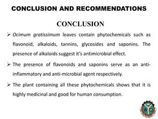 Nutritional Value and Health Benefits of Scent Leave | PPTX