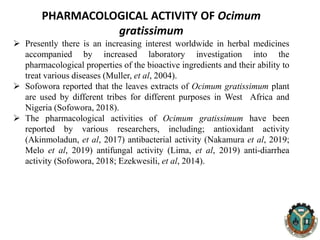 Nutritional Value and Health Benefits of Scent Leave | PPTX