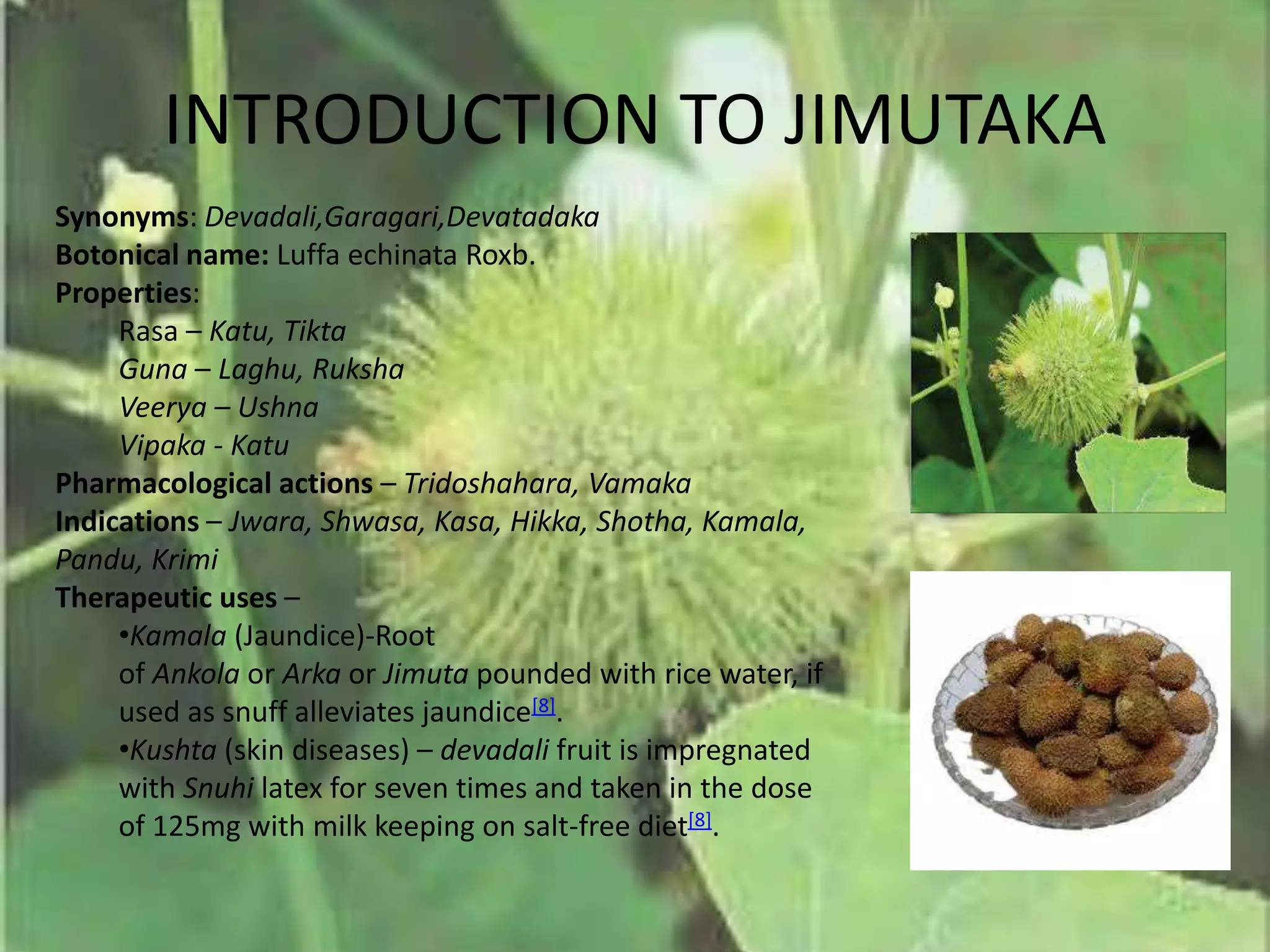 Jimutaka kalp adhyaya | PPTX