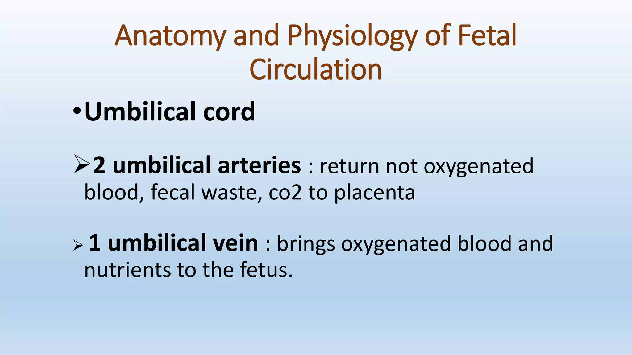 jin fetal circulation.ppsx