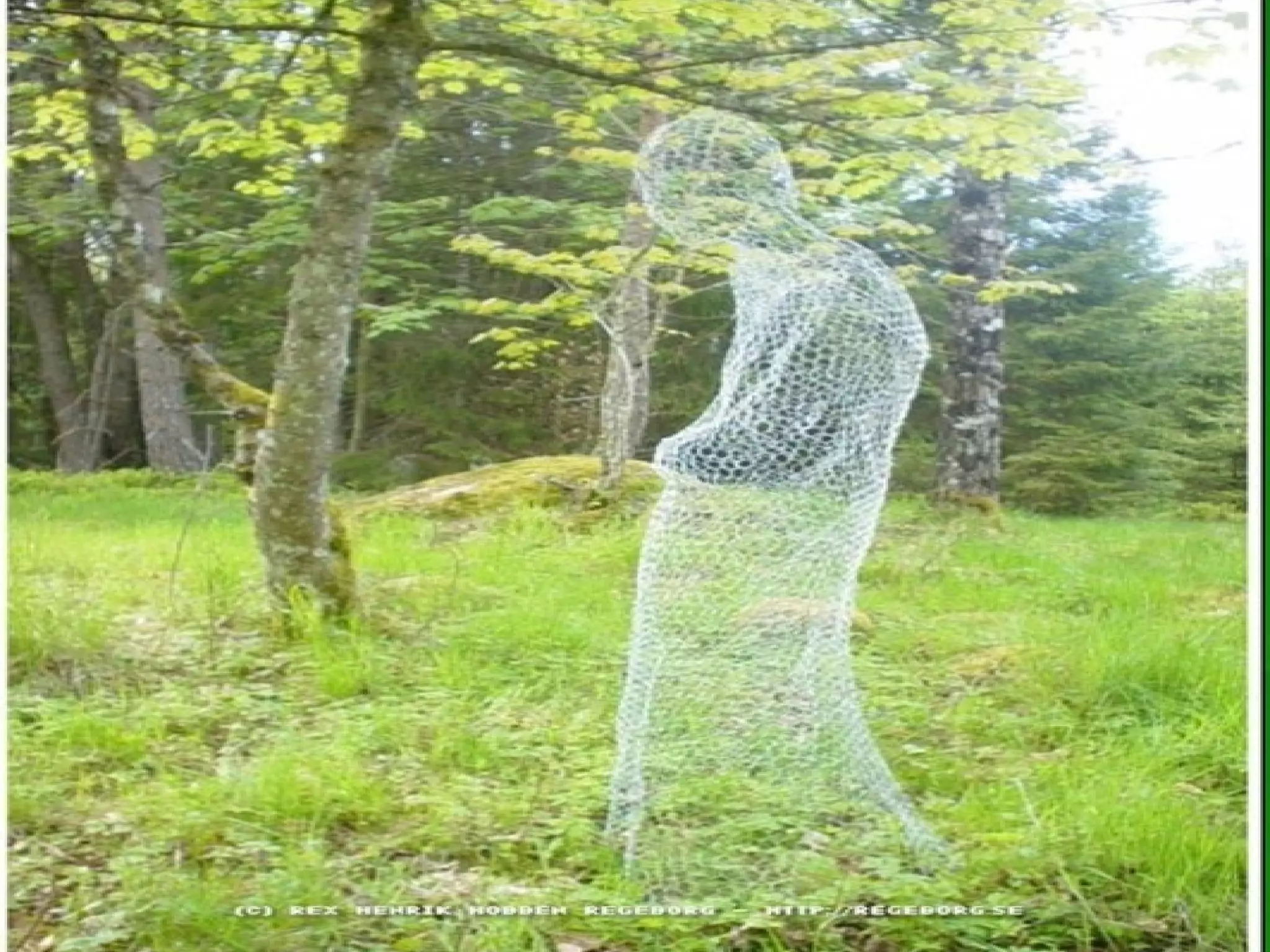 Jinaat in light of Islam | PPT