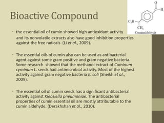 Jintan putih ppt | PPTX