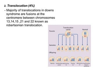 Translocation Down Syndrome Diagram