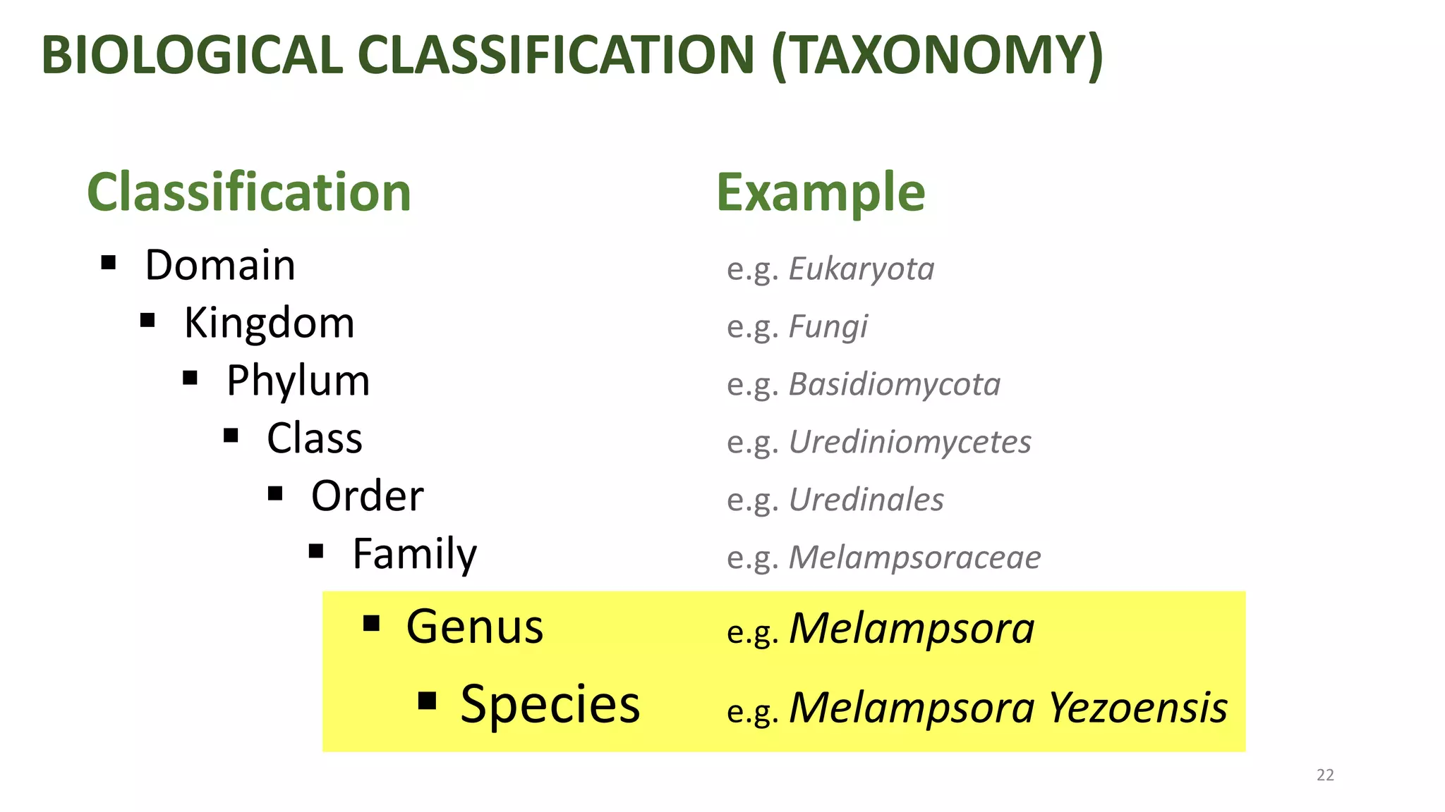 A Logical Model for Taxonomic Concepts for Expanding Knowledge using ...