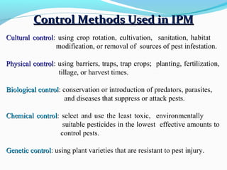 Jitendra presentation on IIPM | PPT