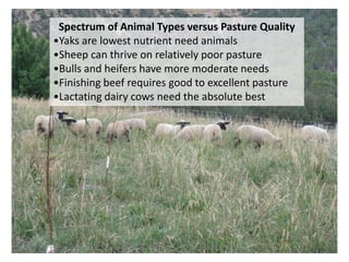 Dairy Farming - How We Manage Our Animals Holistically Presented by ...