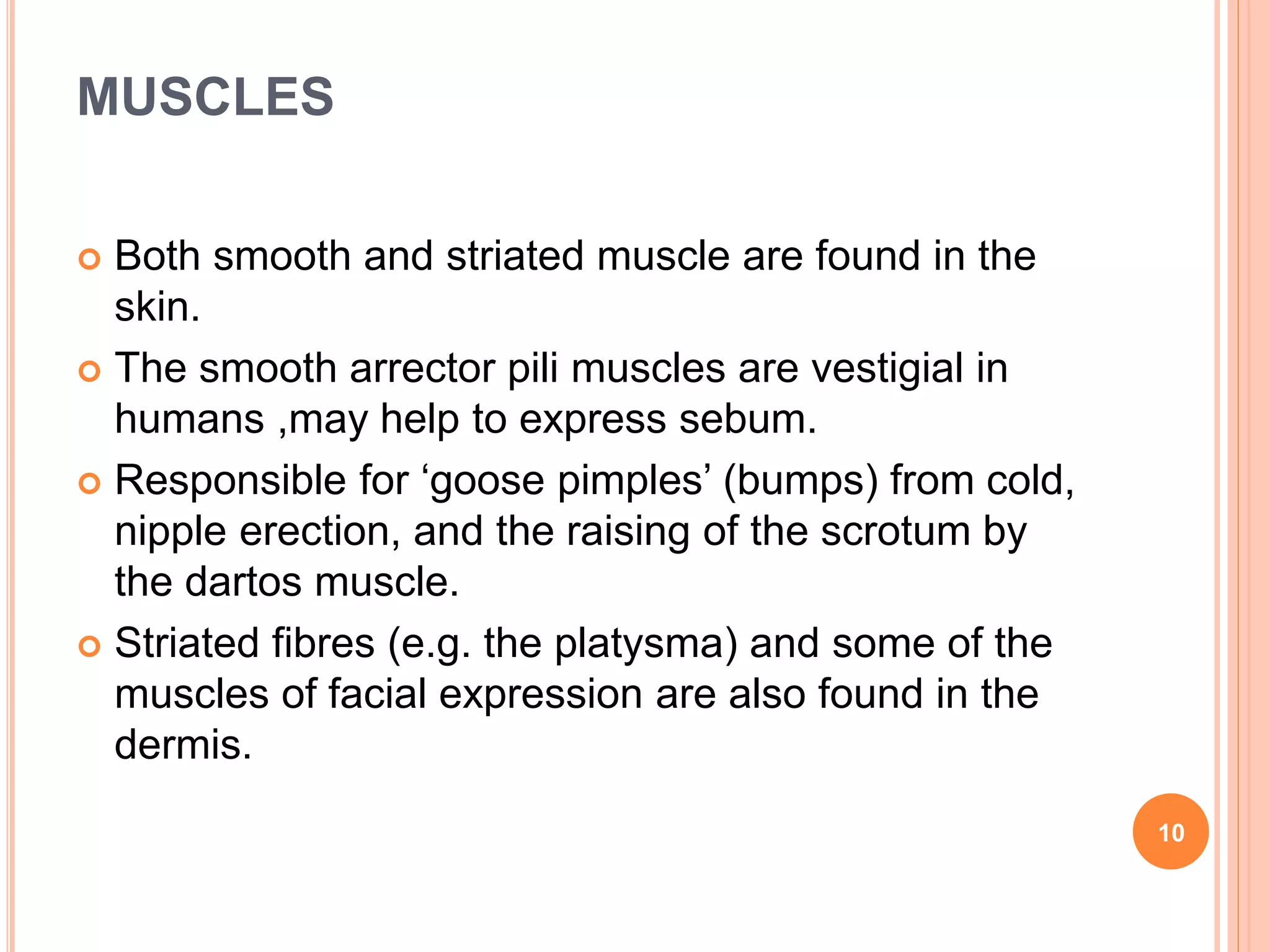 Skin structure and Barriers | PPTX
