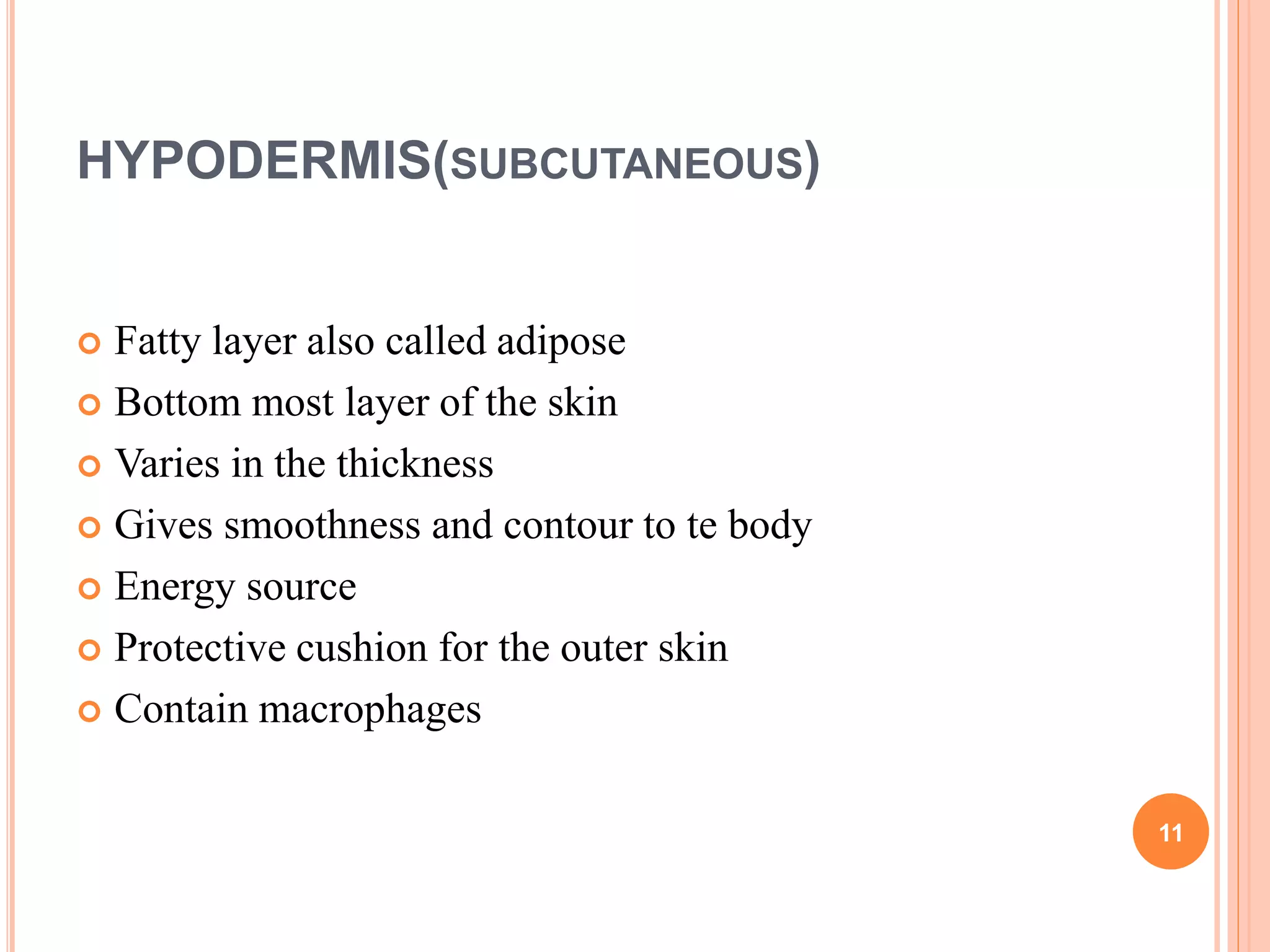 Skin structure and Barriers | PPTX