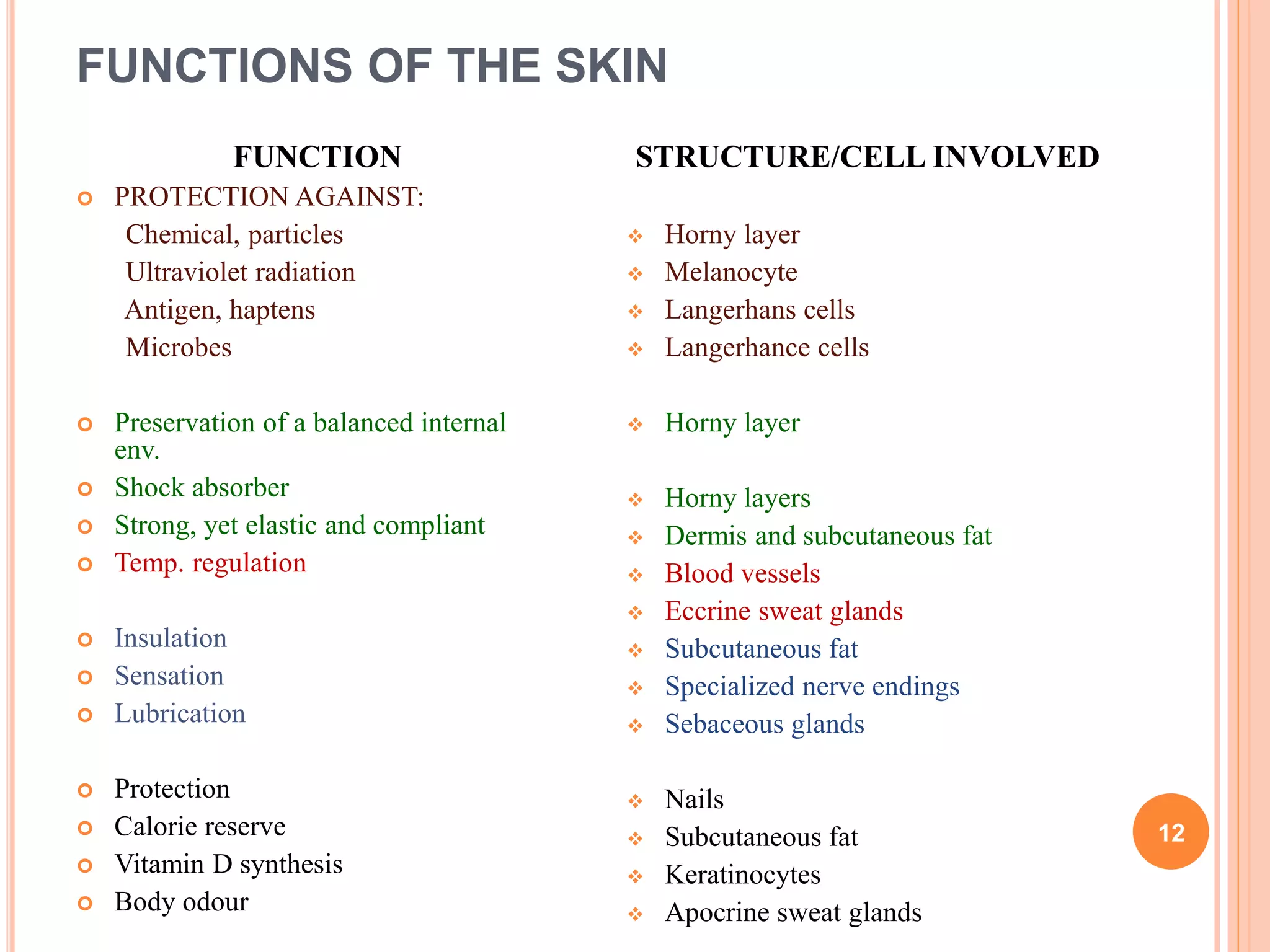 Skin structure and Barriers | PPTX