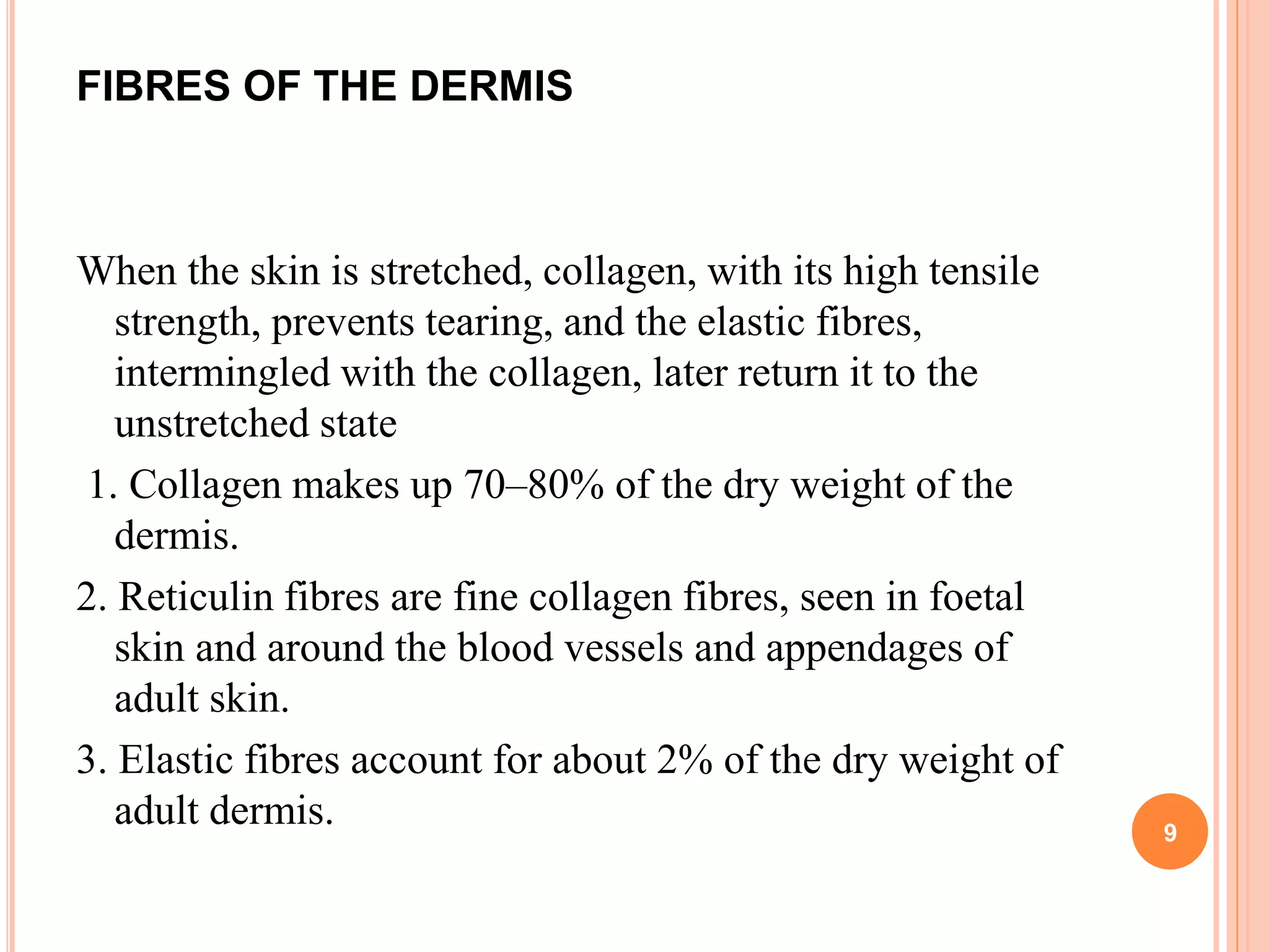 Skin structure and Barriers | PPTX