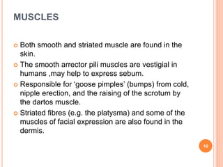 Skin structure and Barriers | PPTX
