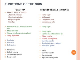 Skin structure and Barriers | PPTX