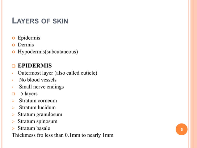 Skin Structure And Barriers Ppt