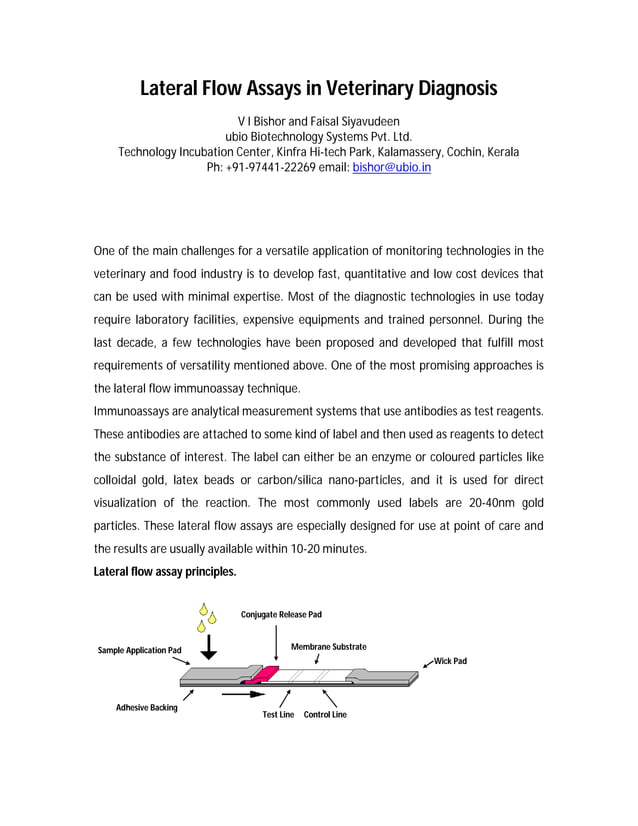 lateral flow assays | PDF