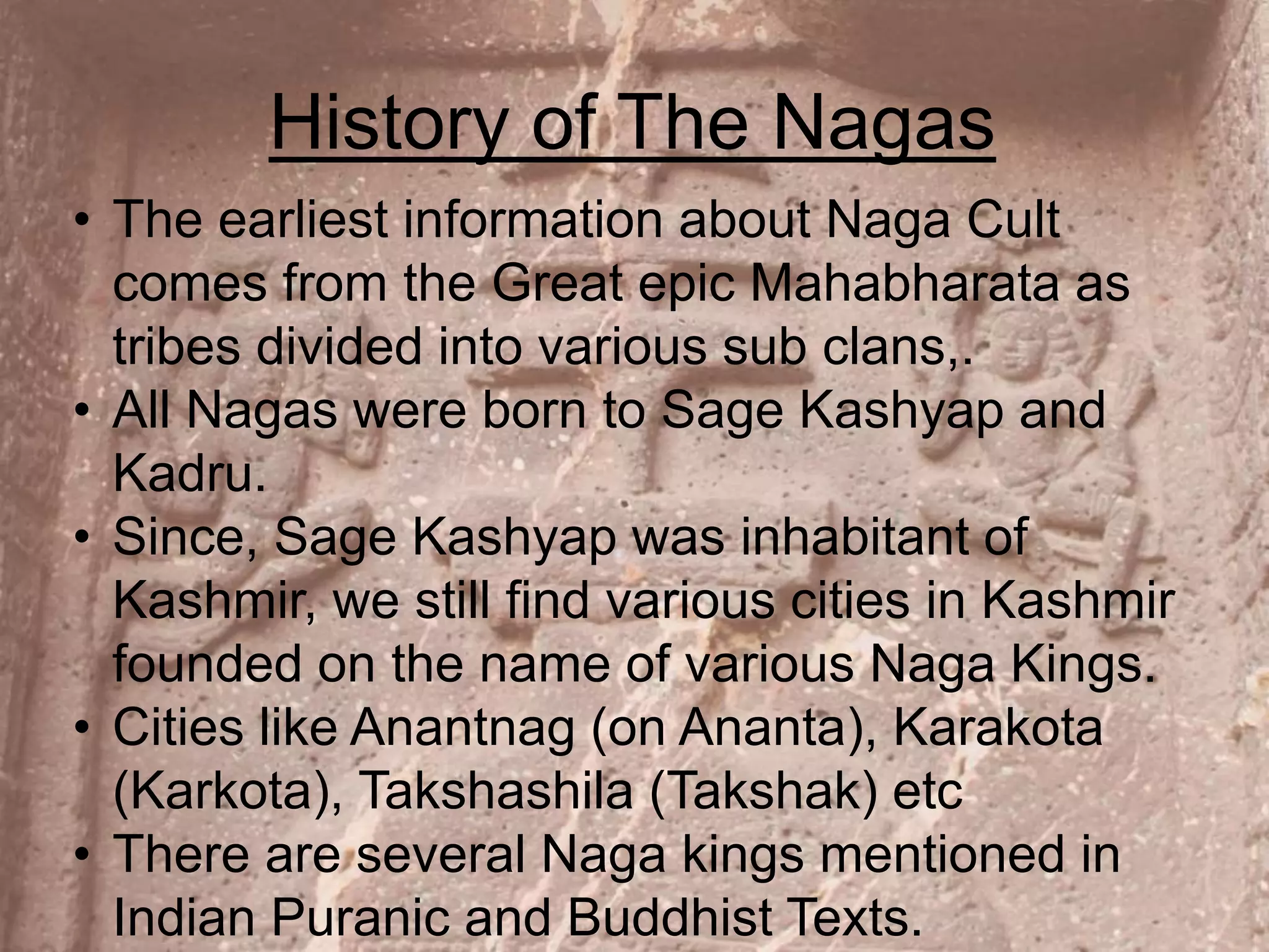 NAGA DYNASTY ANCIENT INDIA | PPTX