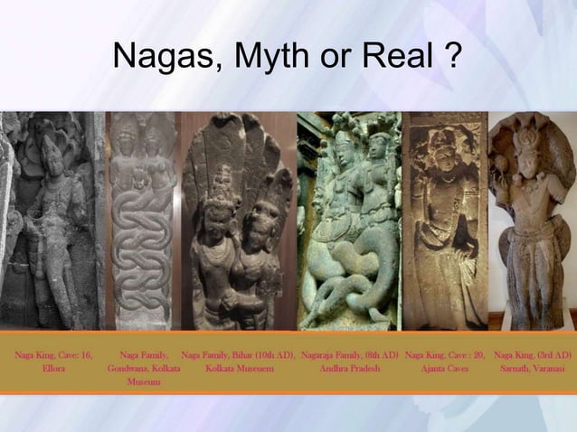 NAGA DYNASTY ANCIENT INDIA | PPTX