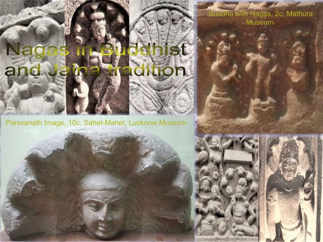 NAGA DYNASTY ANCIENT INDIA | PPTX