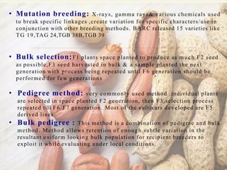 Breeding Objective and mutation breeding of Groundnut (Arachis hypogea ...