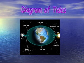 Ji Won, Bianca and Isabella | PPT