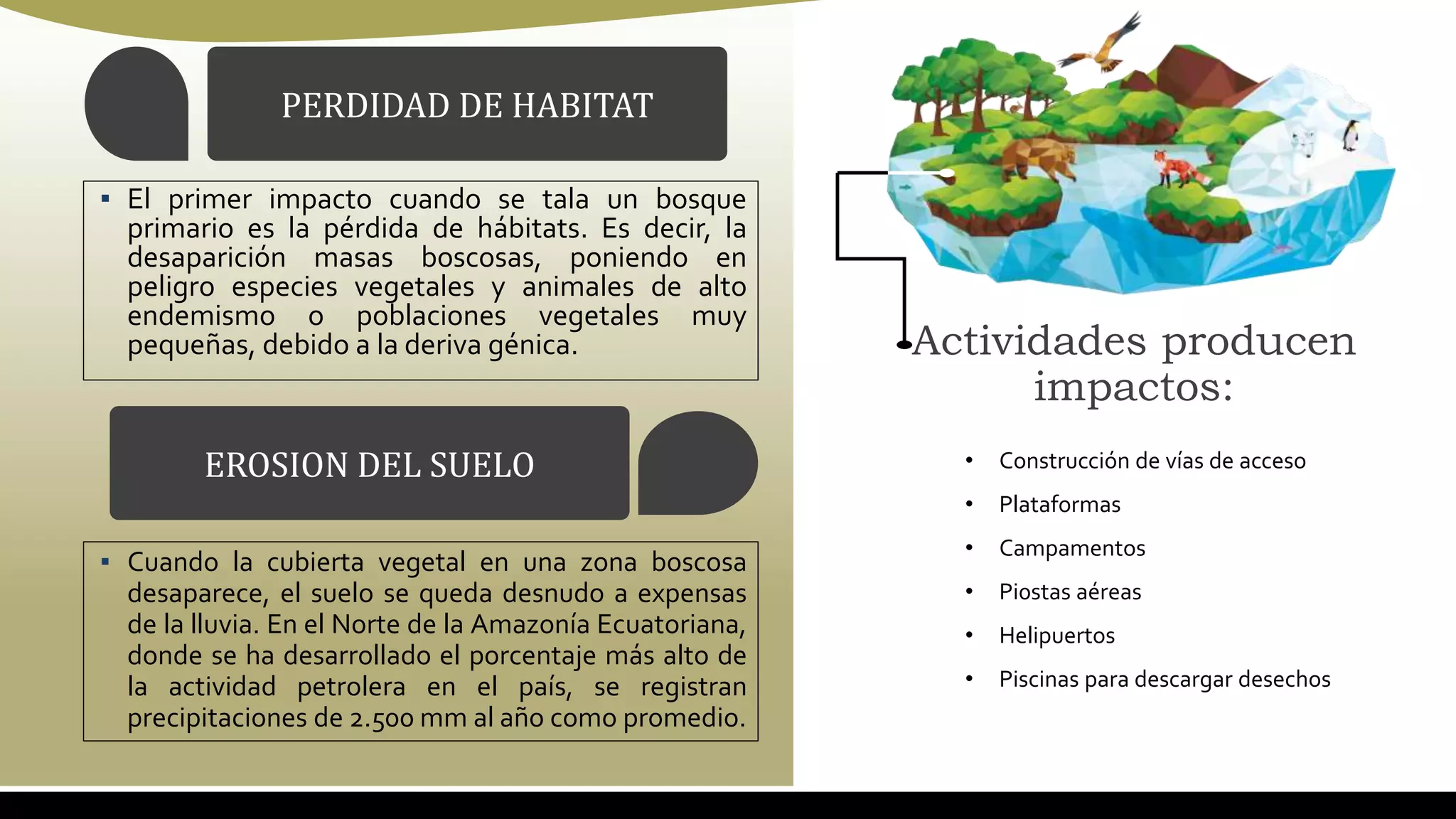LOS IMPACTOS DE LA EXPLOTACION PETROLERA EN ECOSISTEMAS TROPICALES Y LA ...