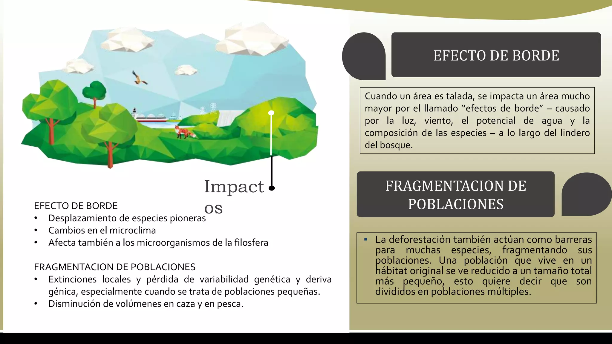 LOS IMPACTOS DE LA EXPLOTACION PETROLERA EN ECOSISTEMAS TROPICALES Y LA ...