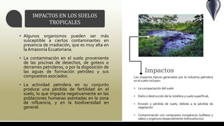LOS IMPACTOS DE LA EXPLOTACION PETROLERA EN ECOSISTEMAS TROPICALES Y LA ...