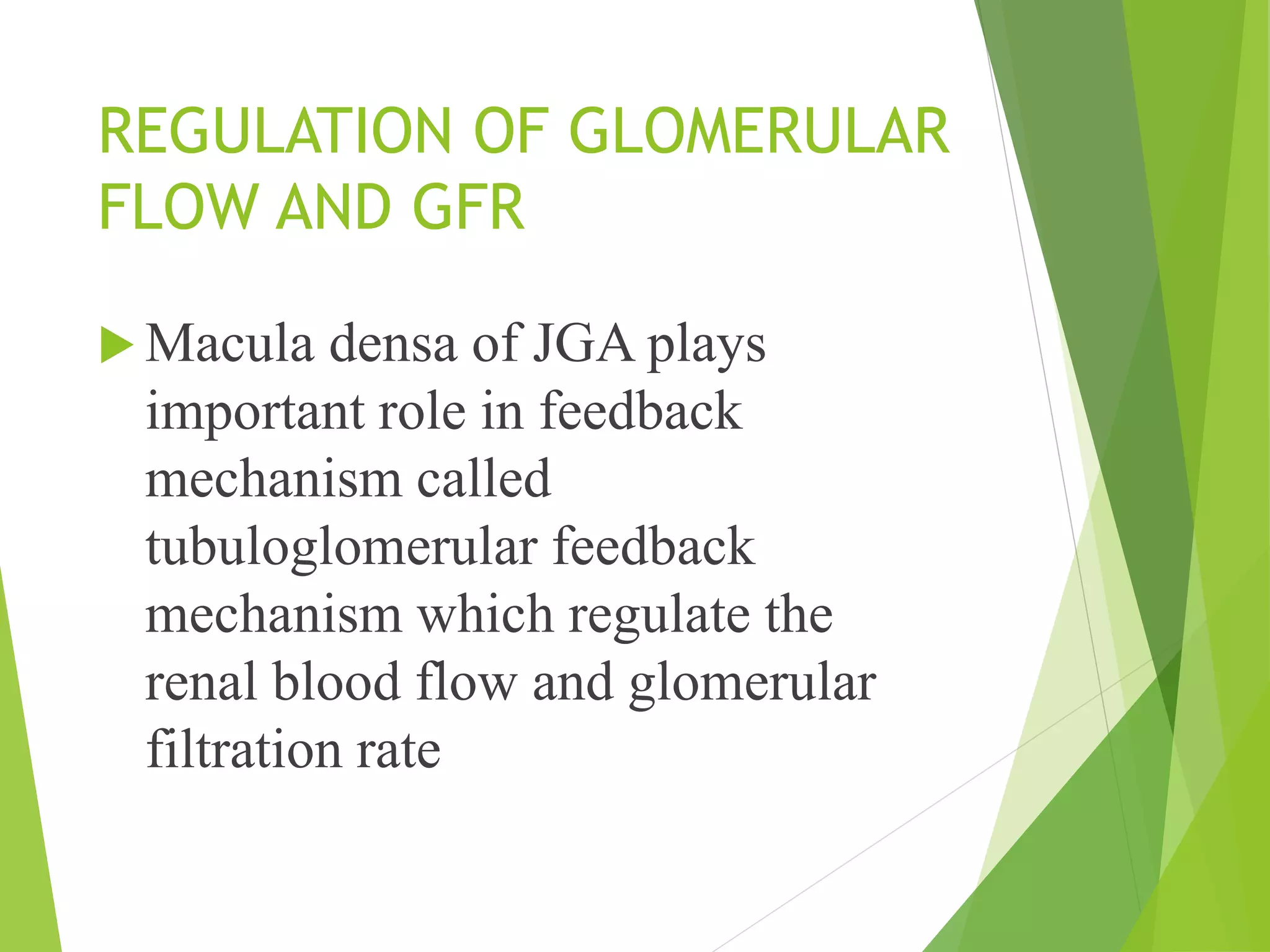JUXTA GLOMERULAR apparatus | PPTX